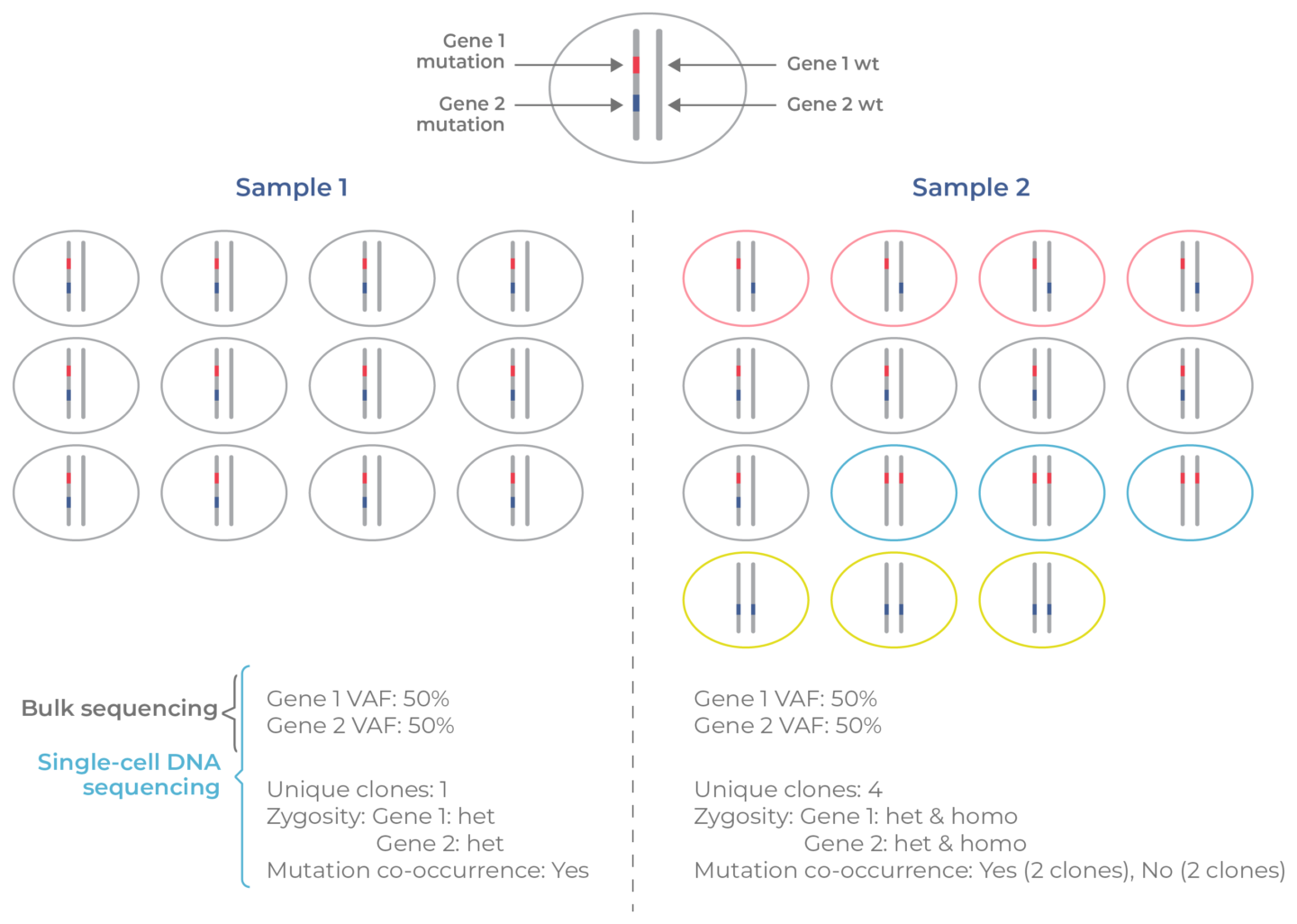 Single-cell Multi-omics in Oncology | Mission Bio