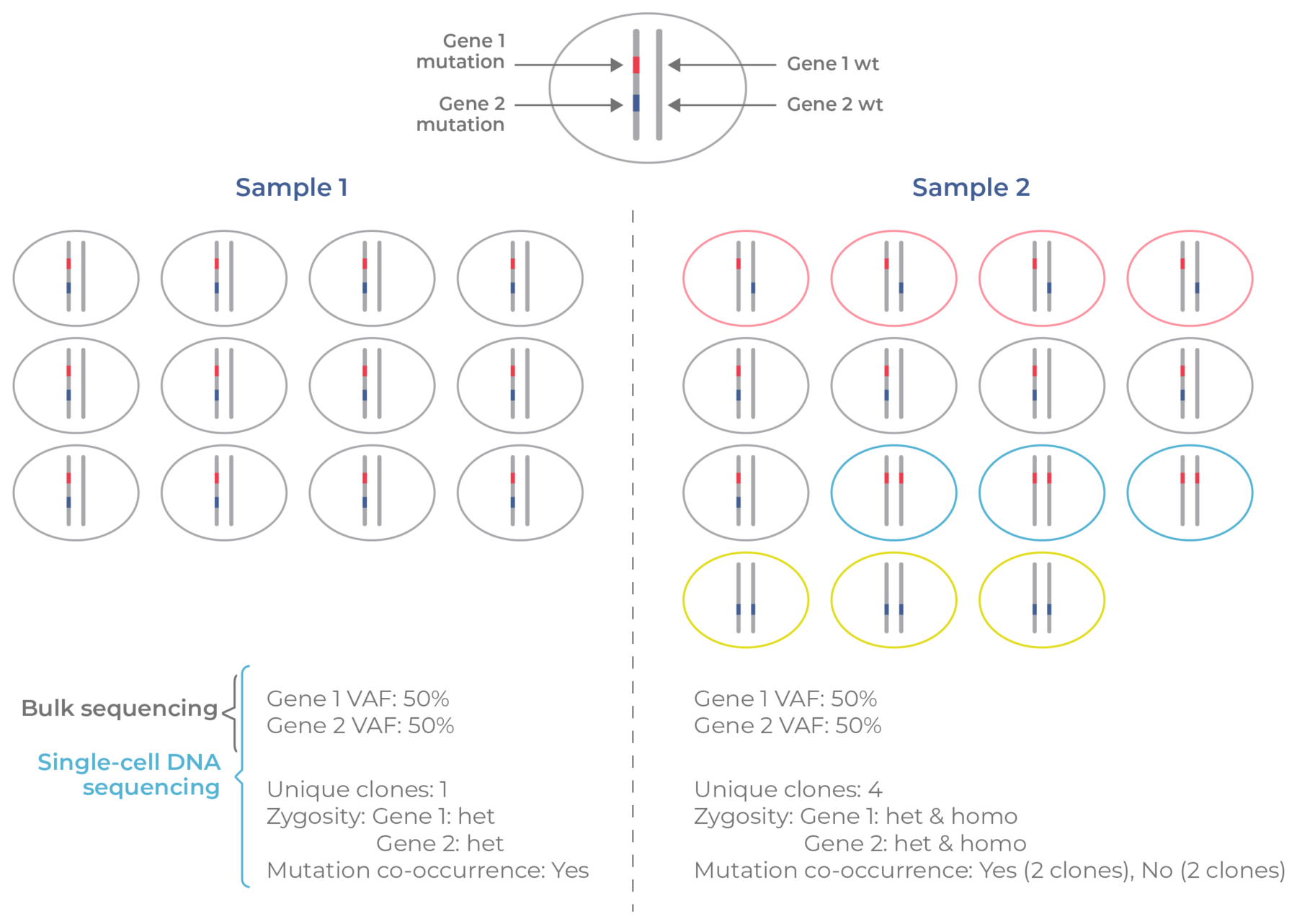 Single-cell Multi-omics in Oncology | Mission Bio