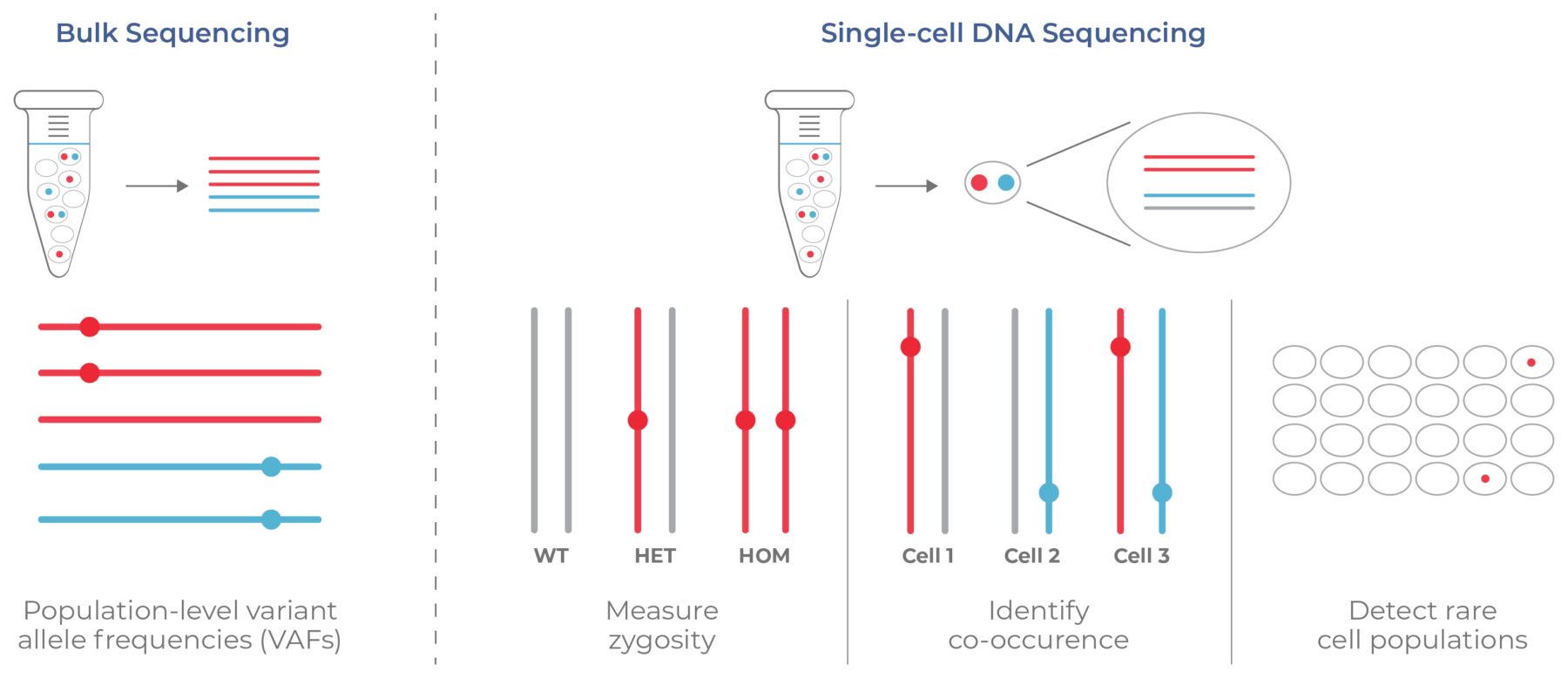 Single-cell Multi-omics in Oncology | Mission Bio