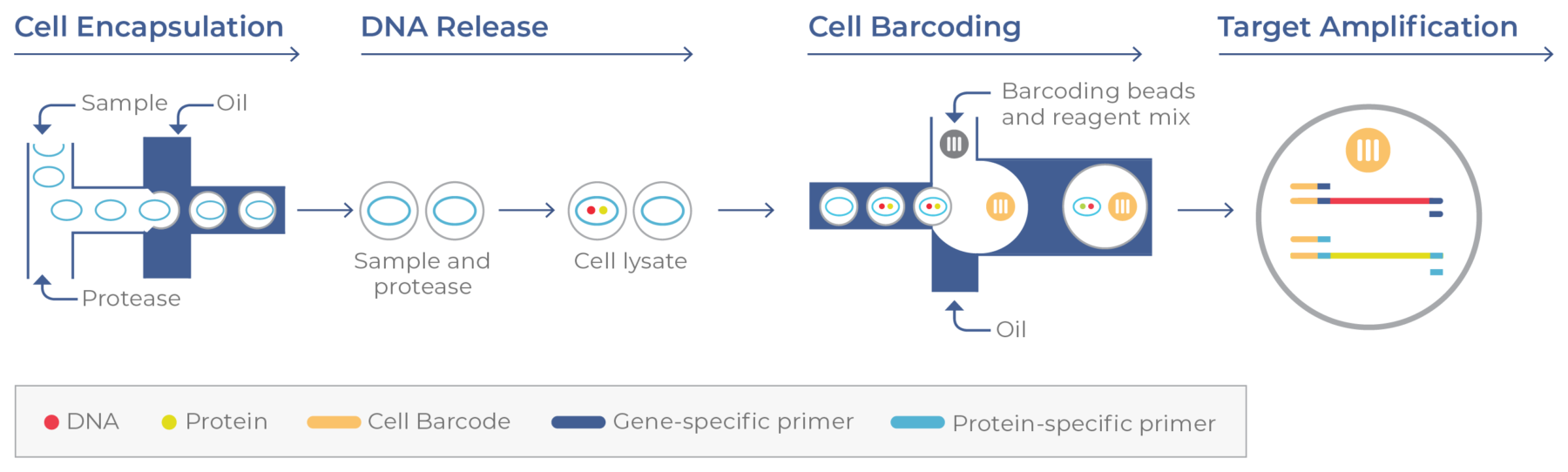 Single-cell Multi-omics in Oncology | Mission Bio