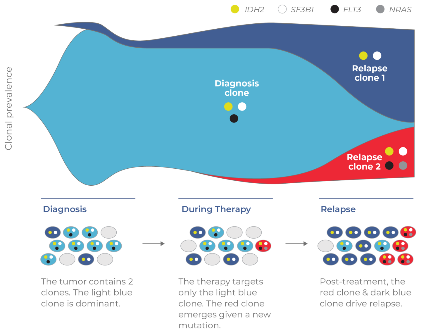 Single-cell Sequencing Applications | Mission Bio