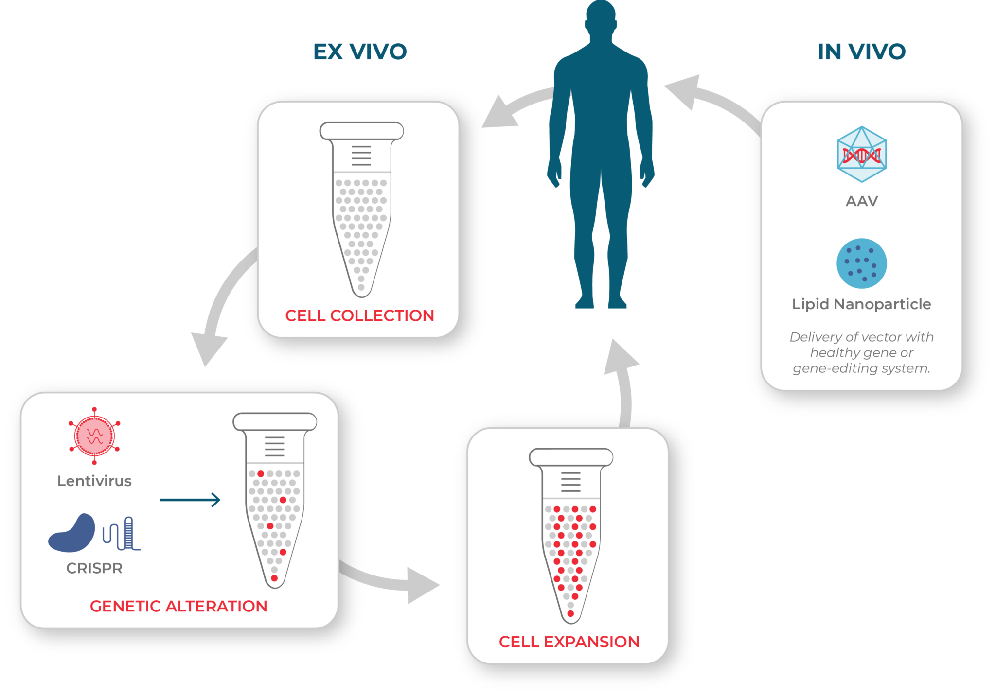 Single Cells are Accelerating Cell and Gene Therapy Development ...