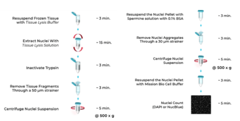 Prepped for Success: Tips and Tricks To Take Solid Tumor Sample Prep to ...