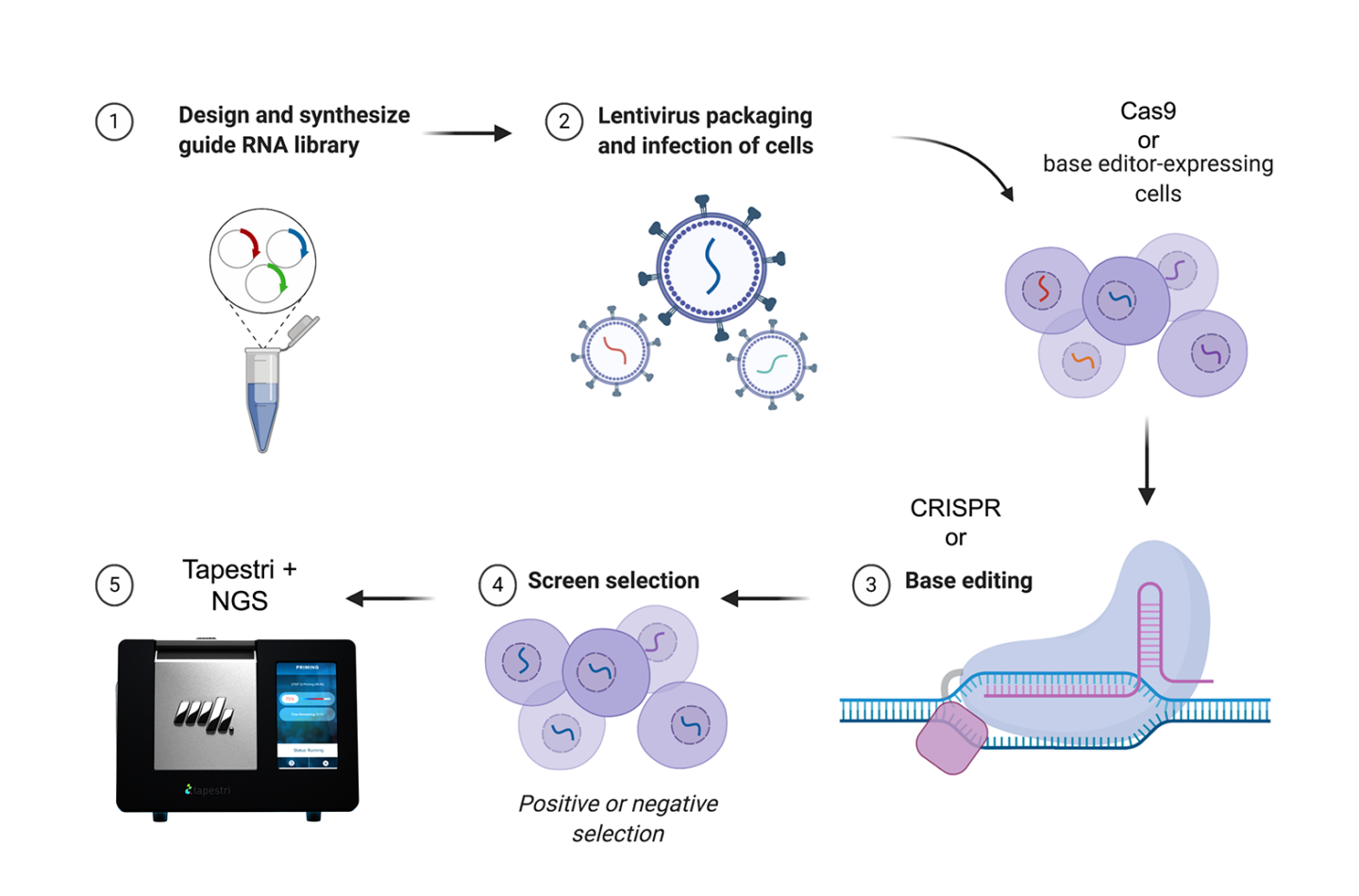 Synthego’s Eclipse CRISPR Engineering Platform & Mission Bio’s Tapestri ...