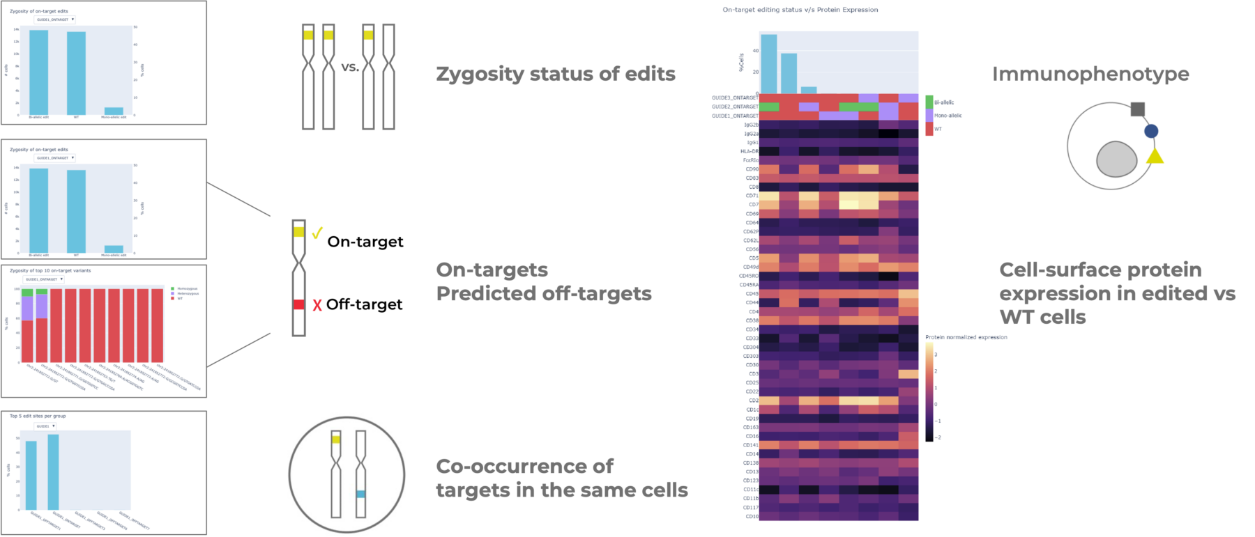 CRISPR-edited gene pools: Exploring variation in gene-edited cells ...