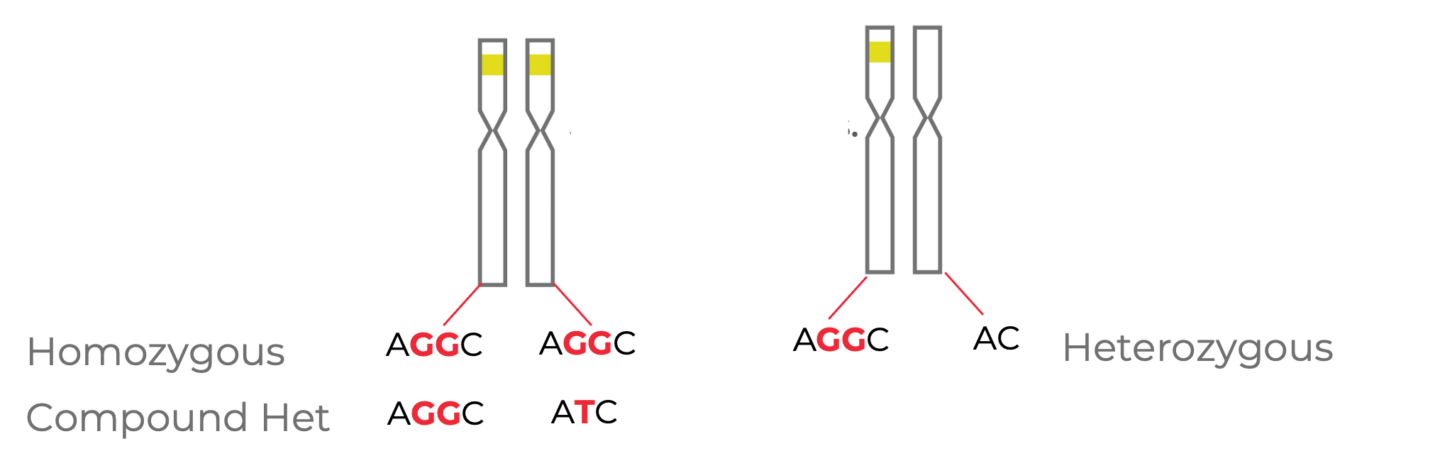 CRISPR-edited gene pools: Exploring variation in gene-edited cells ...