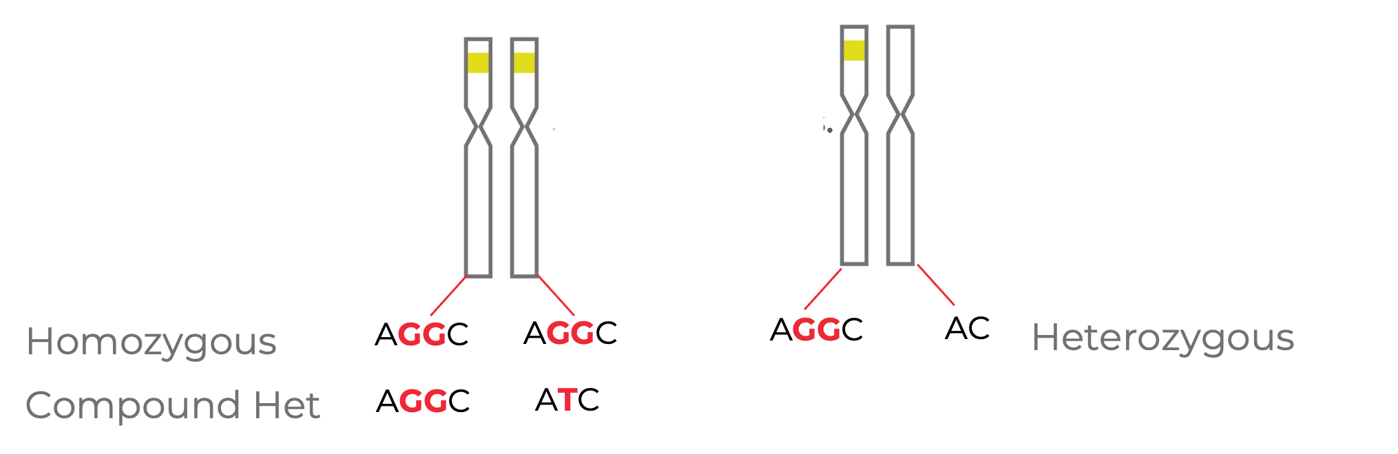 CRISPR-edited gene pools: Exploring variation in gene-edited cells ...