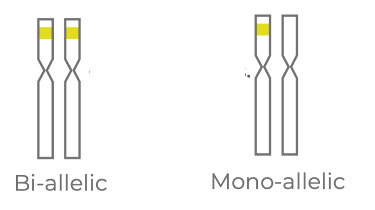 CRISPR-edited gene pools: Exploring variation in gene-edited cells ...