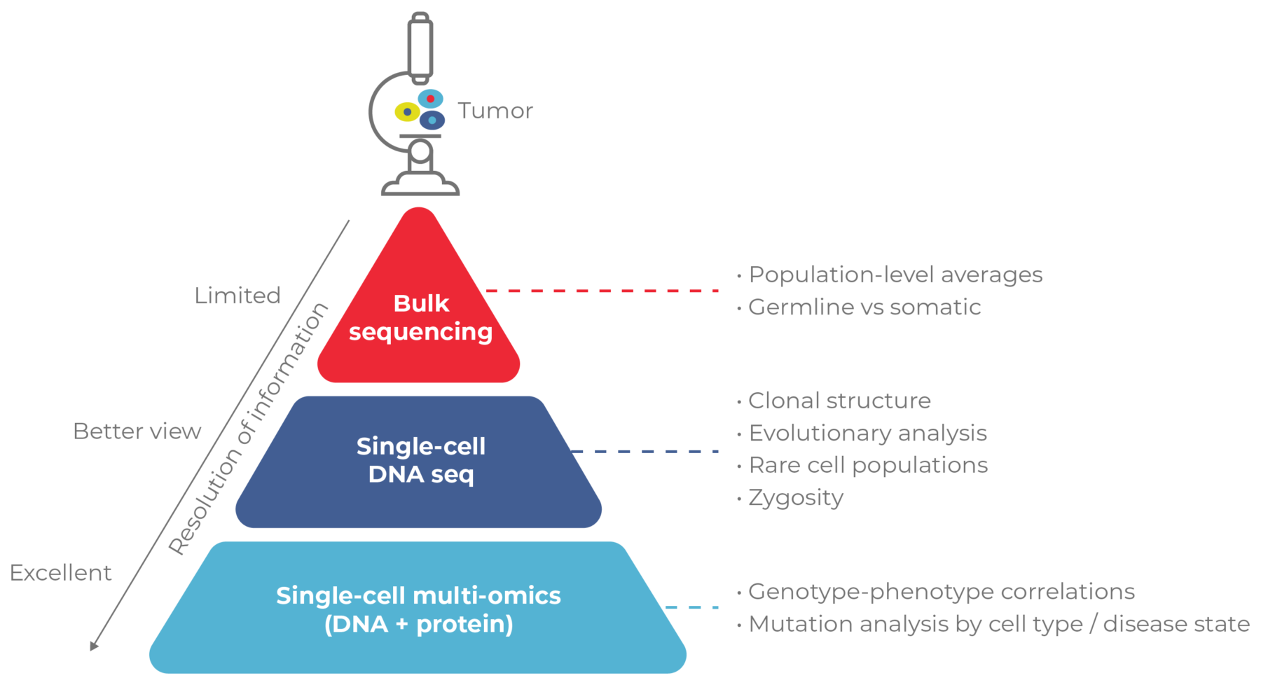 Beyond Bulk Sequencing: Uncovering Clonal Heterogeneity with Single-Cell Multiomic Cancer ...